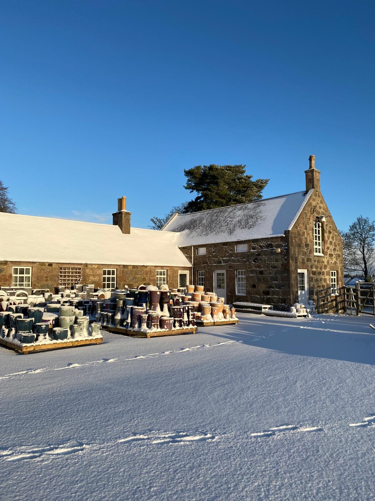 Merry Christmas and festive closing - Ben Reid Garden Centre